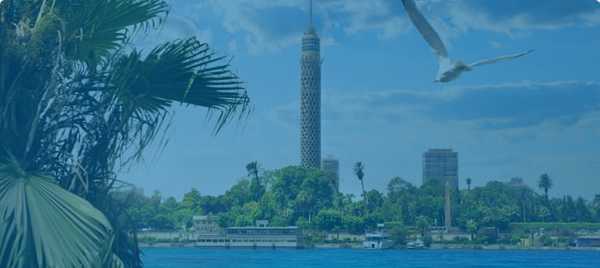 Contact | Spiroplastic