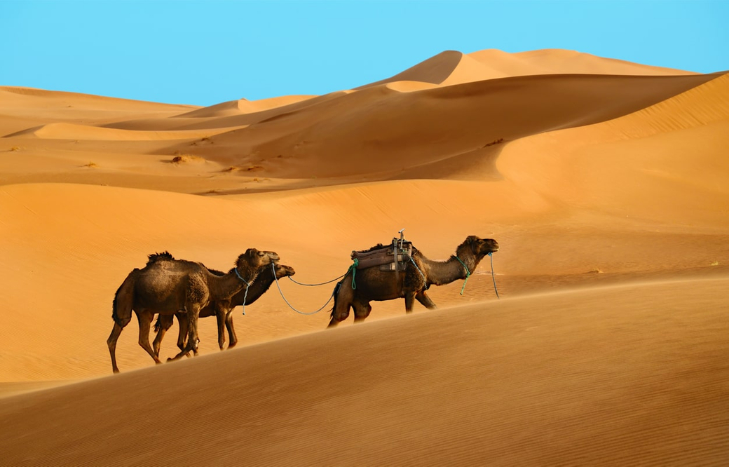 History | Spiroplastic